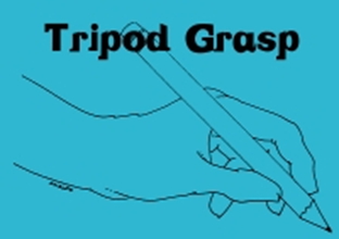 Resources Gallery – Accessible Chef